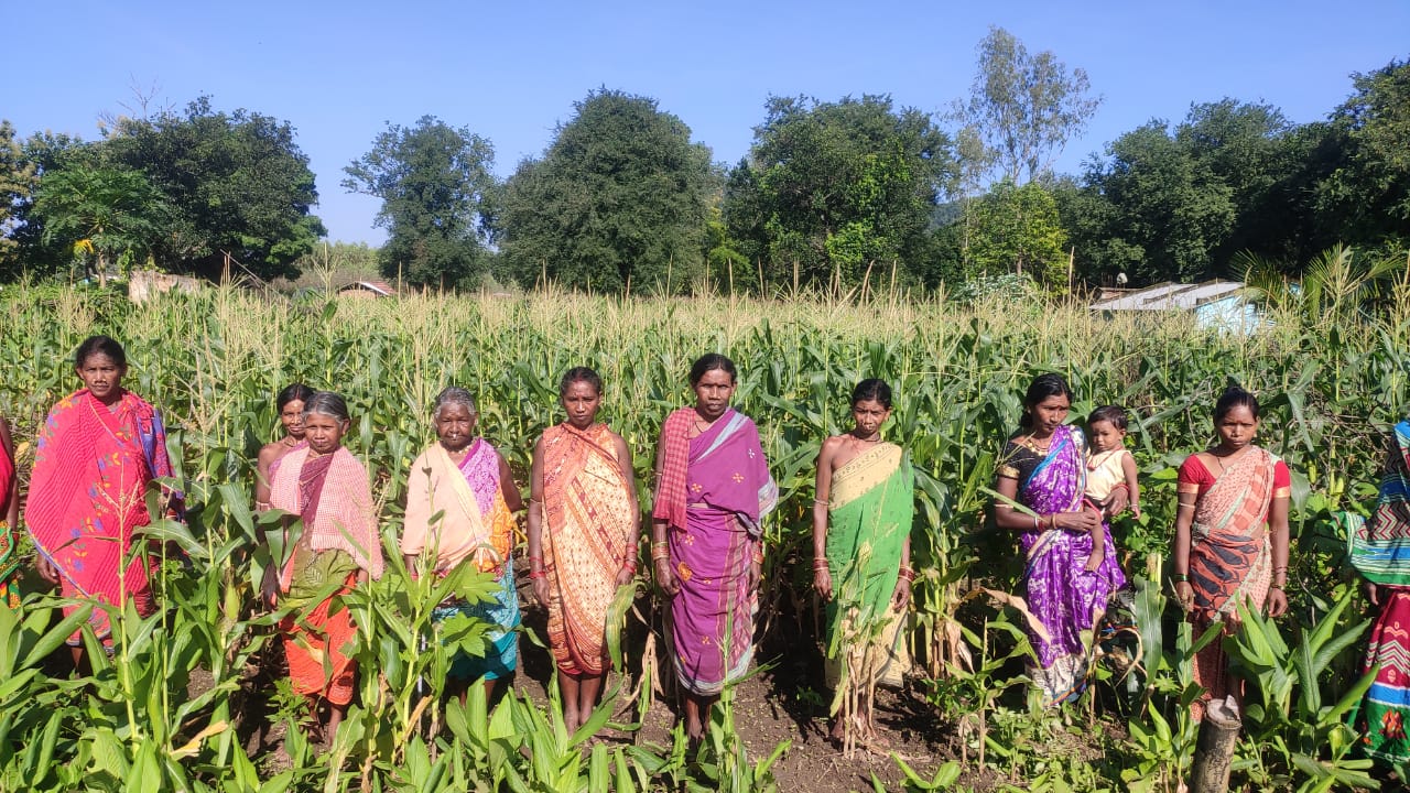 Self-sufficiency in Women through Vegetable Cultivation | M S Swaminathan Research Foundation