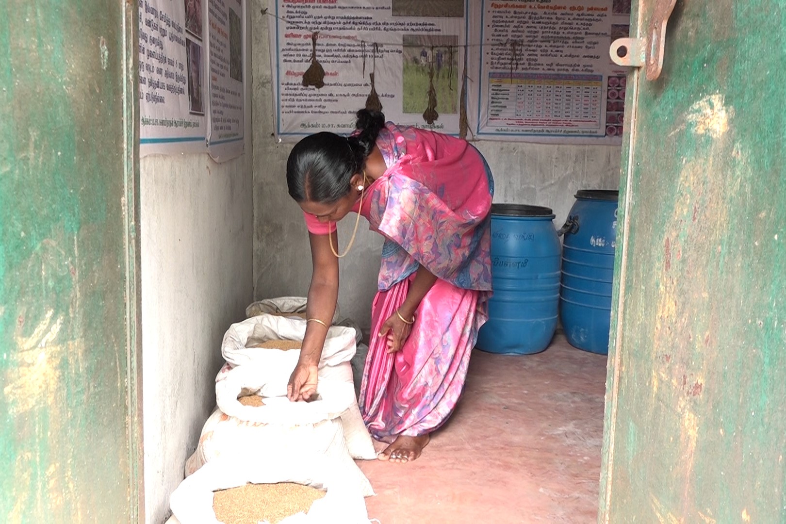 Women at the forefront of preserving of traditional millet varieties ...