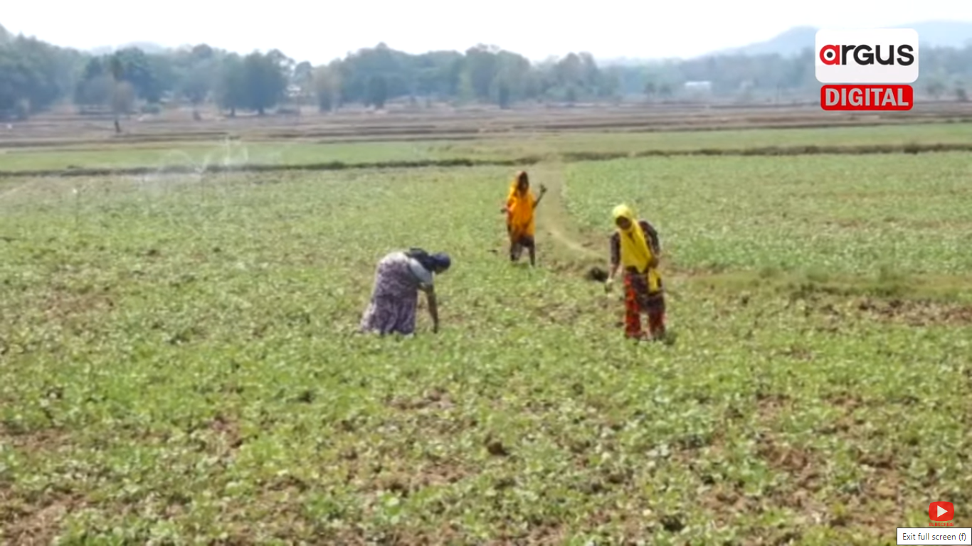 Empowering Women: Farming Emerges as Key Livelihood in India for Women ...