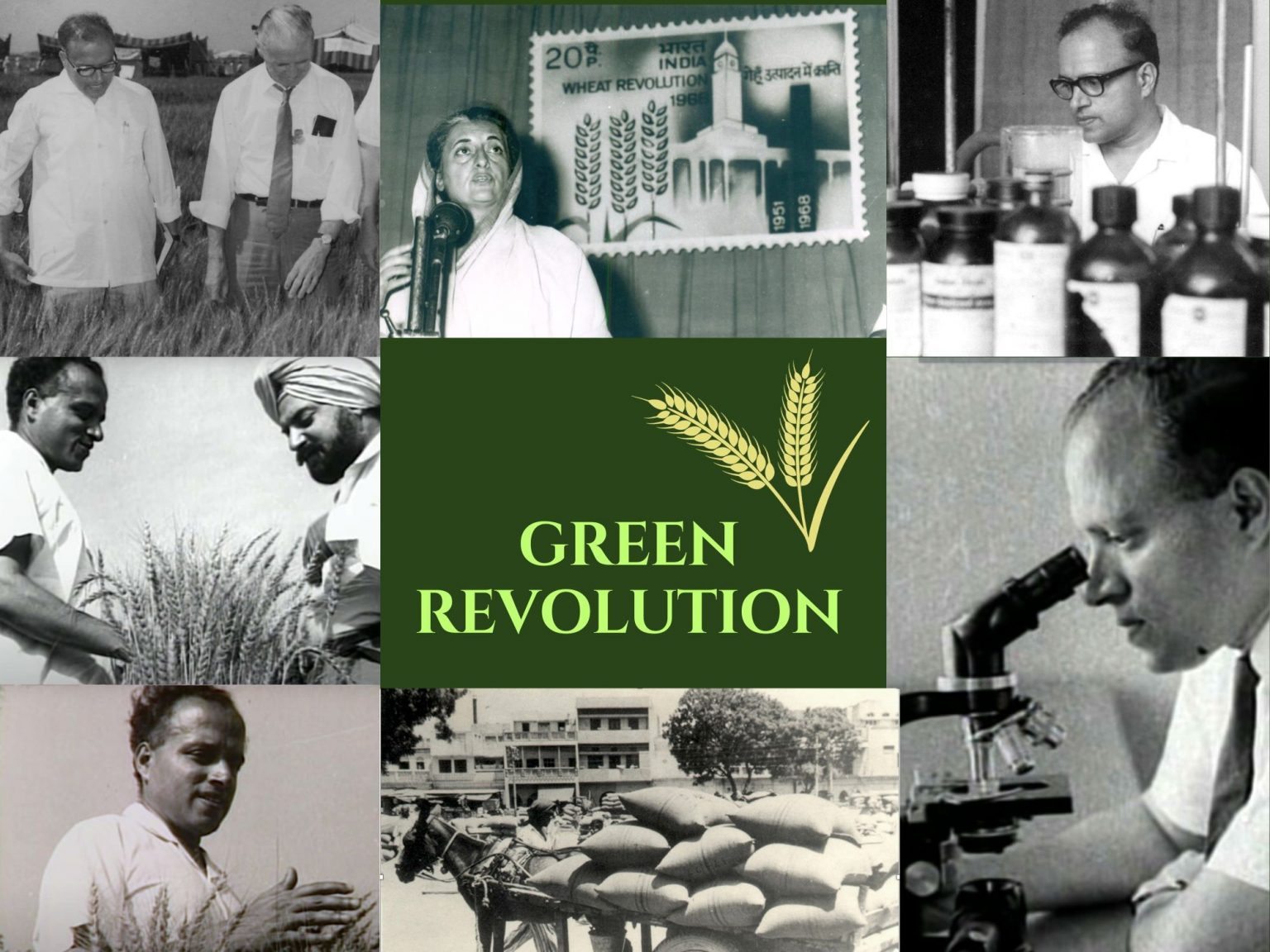 Principal Architect of the Green Revolution | M S Swaminathan Research ...