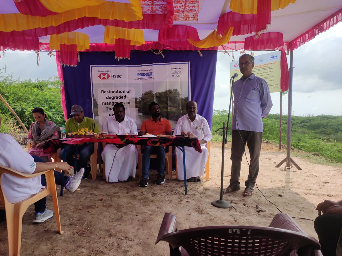 Mangrove Restoration project inaugurated in Muthupet, Tamil Nadu | M S ...