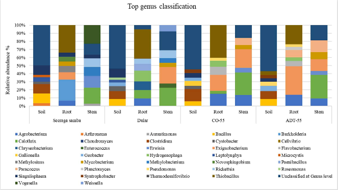 Rice Microbiome- healthy and pathogen-infested paddy (4 varieties ...