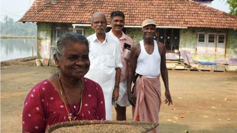 MSSRF rejuvenating the lost Pokkali Rice in Kerala | M S Swaminathan ...
