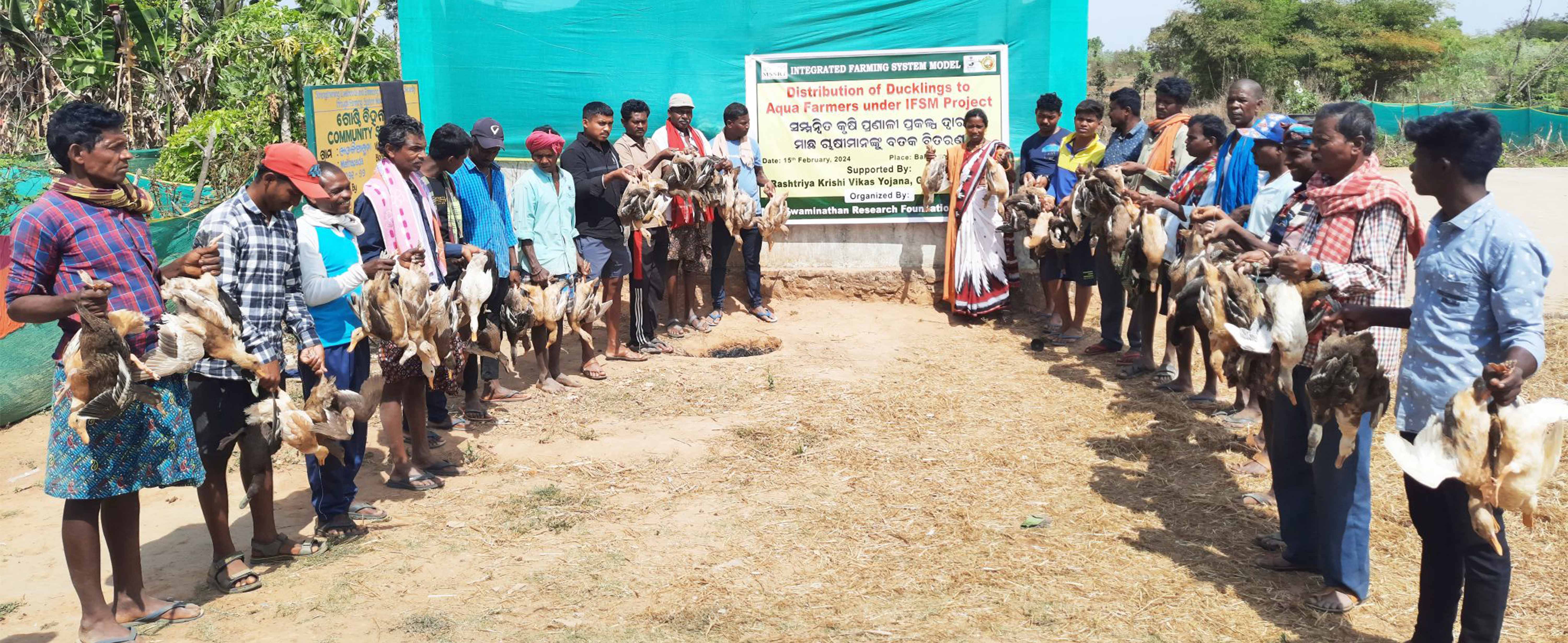 Duckery Support offered to Aquaculture Farmers | M S Swaminathan ...