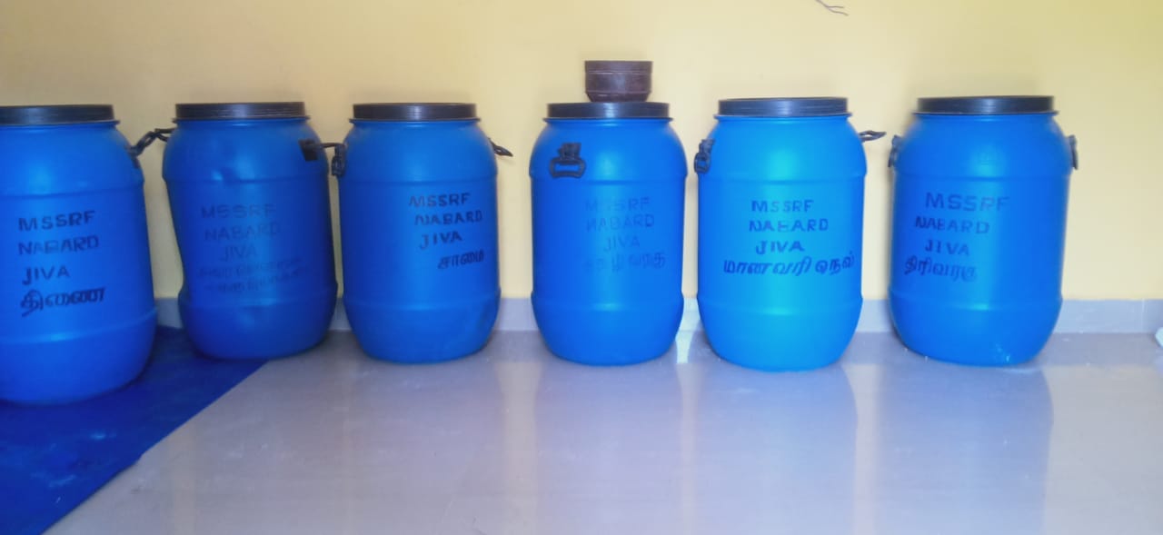 Women at the forefront of preserving of traditional millet varieties ...