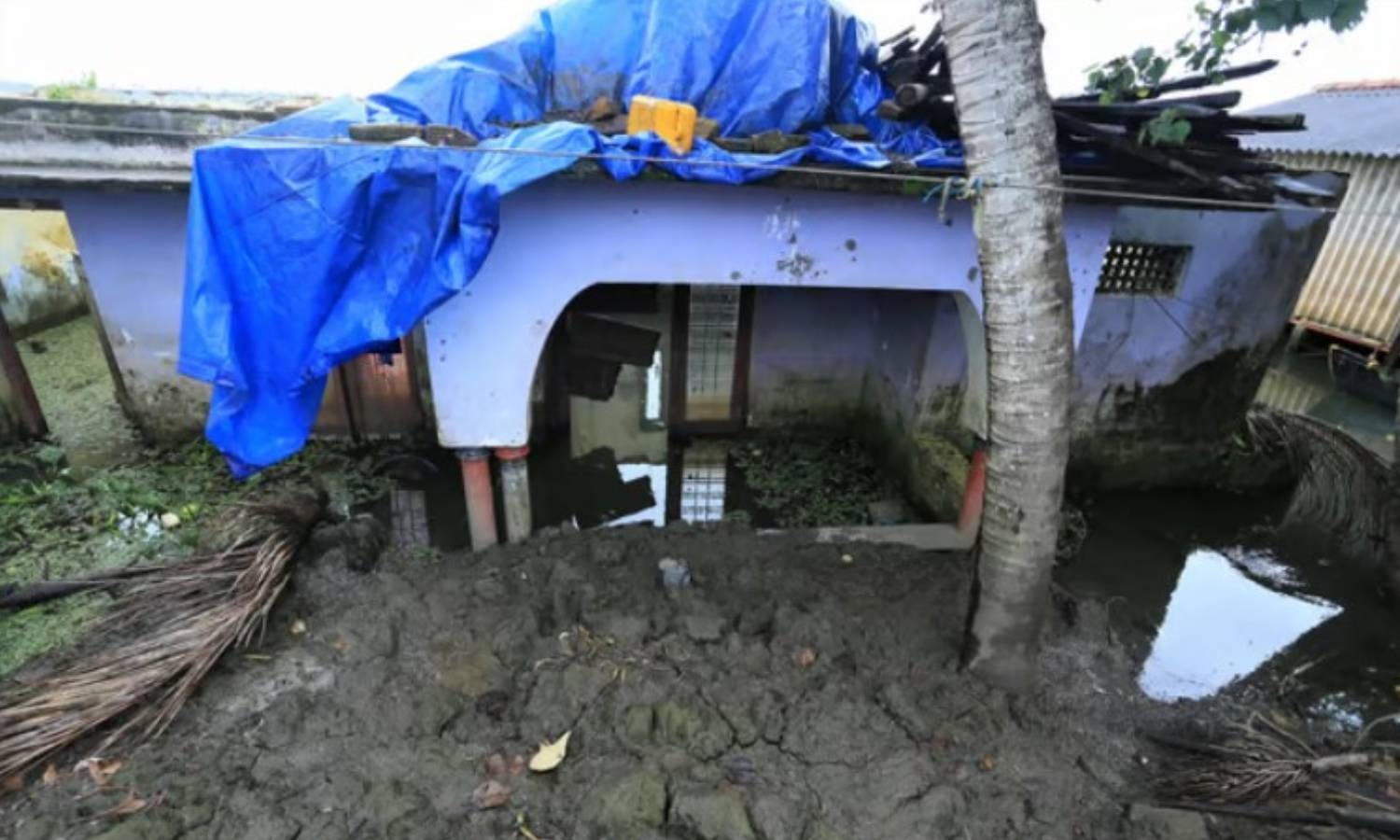 Mothers of Kuttanad whose lives are drowning in water | M S Swaminathan ...