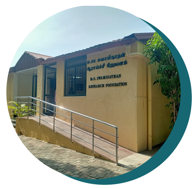 Strategic Plan | M S Swaminathan Research Foundation